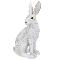 Floristik24.de Deko Hase sitzend Figur Osterhase Shabby Chic 12×9×25cm