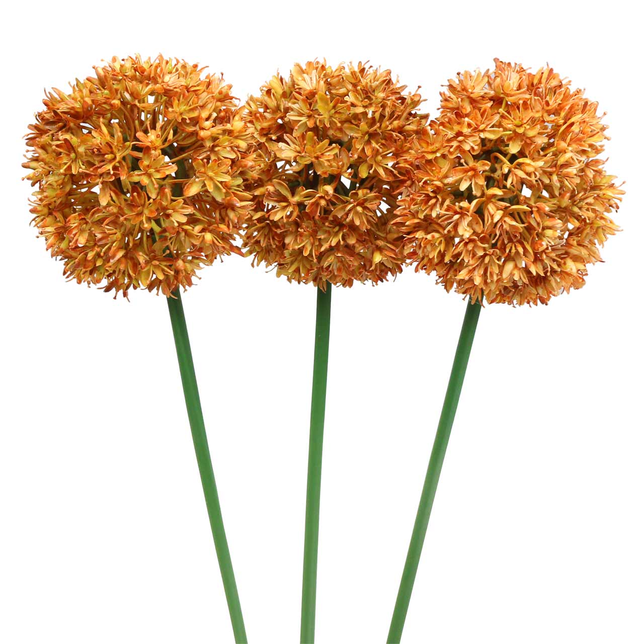 Floristik24.de Zierlauch Allium künstlich Orange 70cm 3St-68475