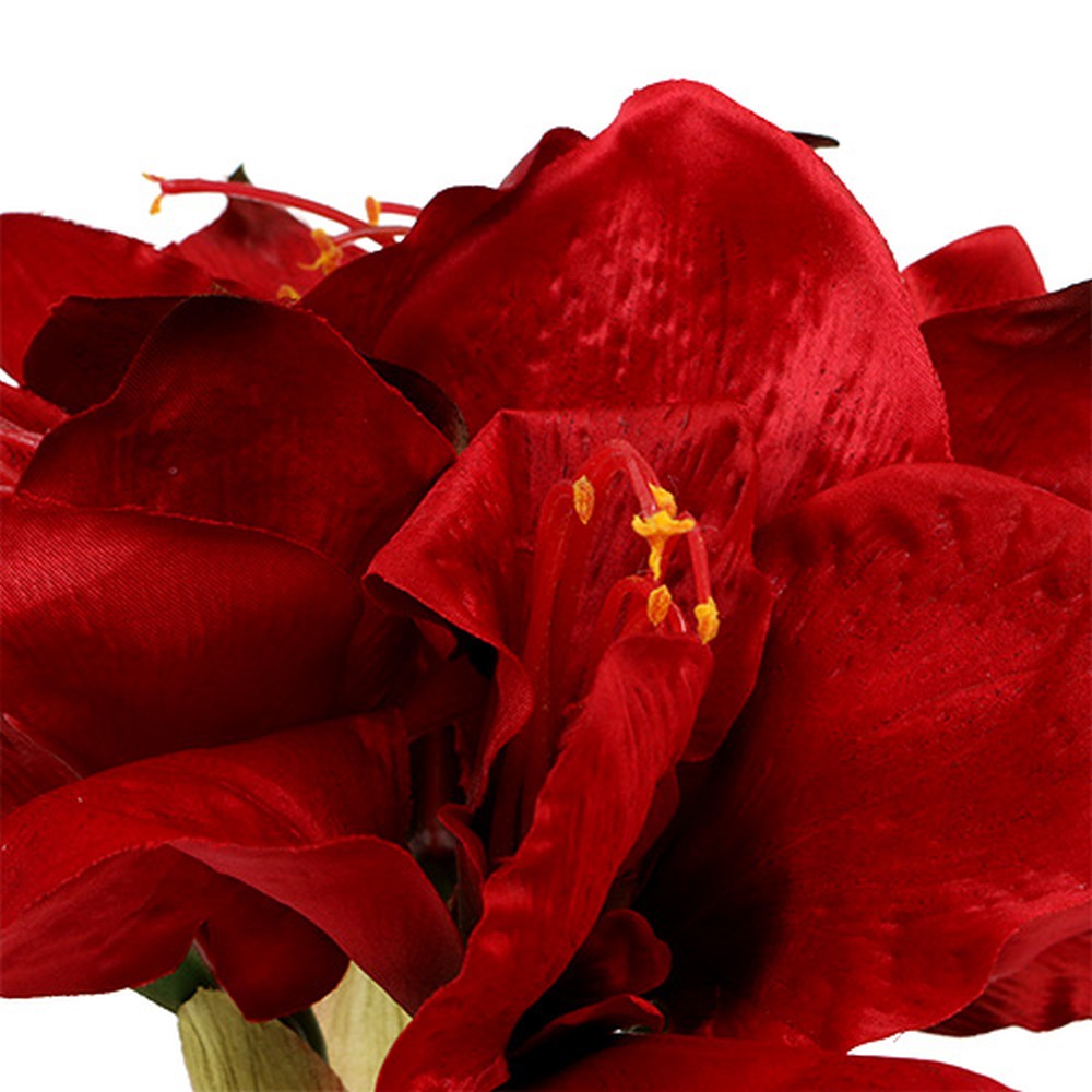 Floristik24.de Amaryllis Rot L 73cm 2St-79137