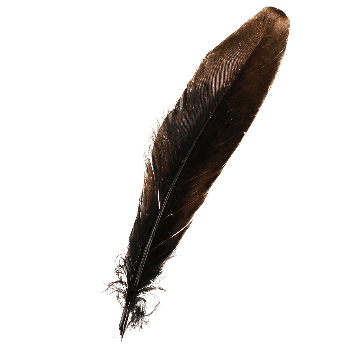 Floristik24.de Deko Federn Gold Weihnachtsdeko Federn 15-20cm 12 St