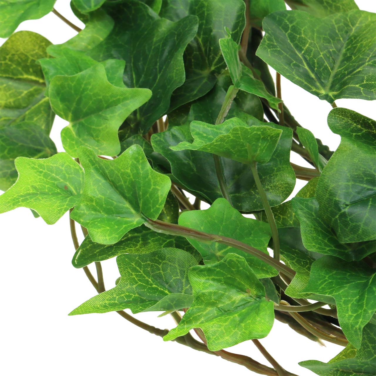 Floristik24.de Efeukranz Ø36cm-66641