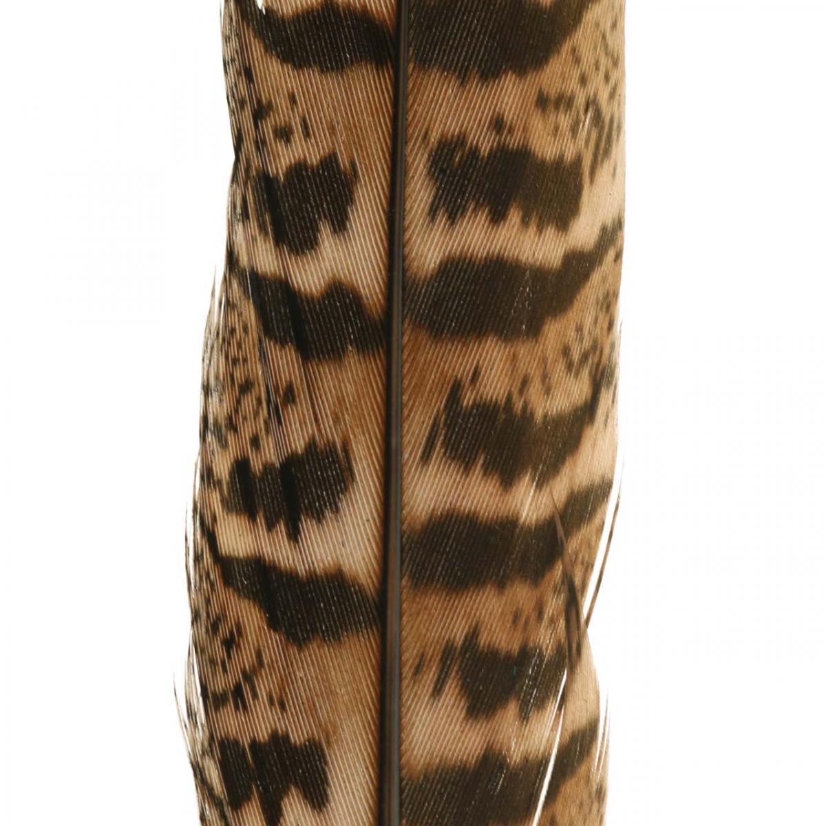 Floristik24.de Fasanenfedern Echte Federn zum Basteln Osterdeko 25-27cm ...