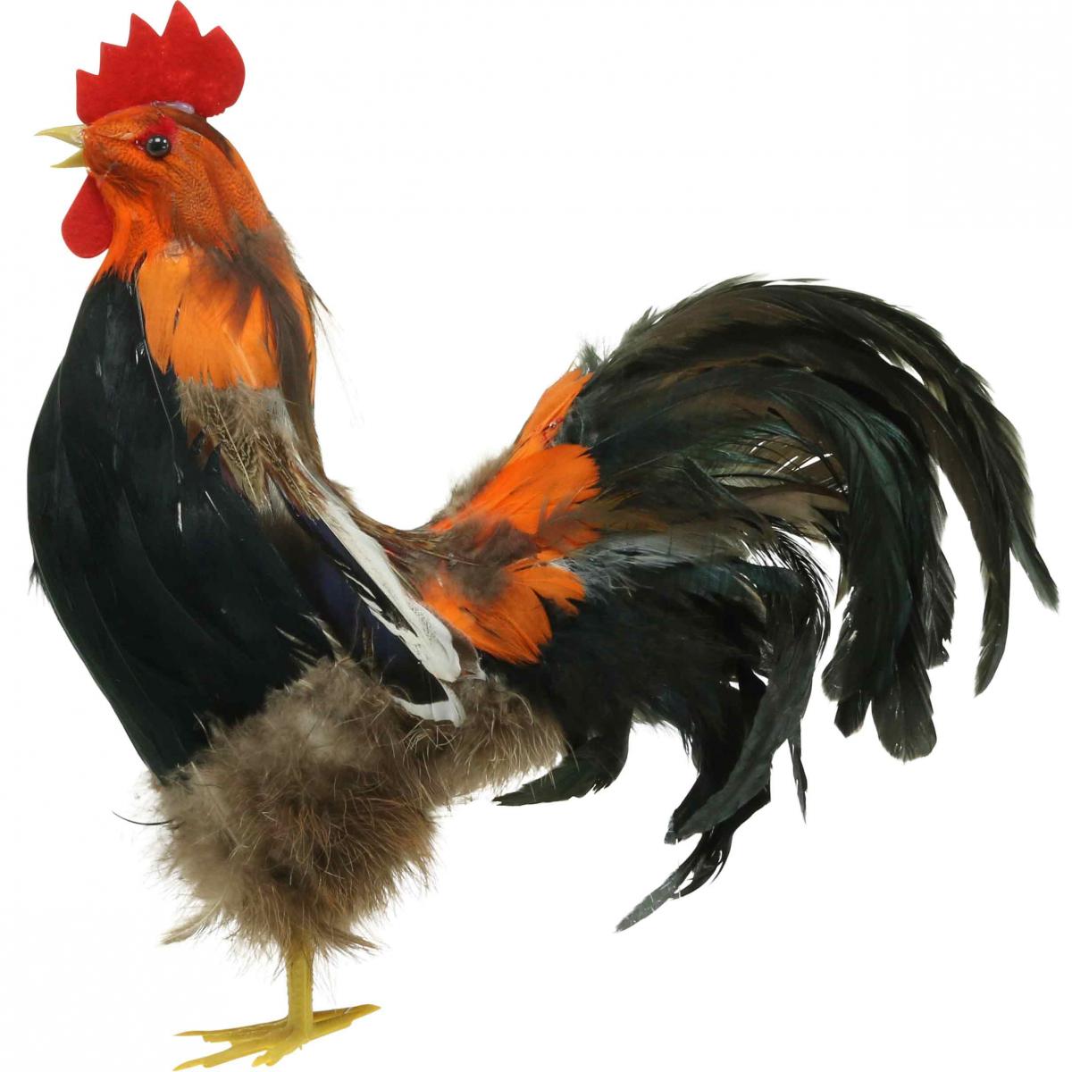 Floristik24.de Deko Hahn mit Federn Dekofigur Ostern Schaufensterdeko ...