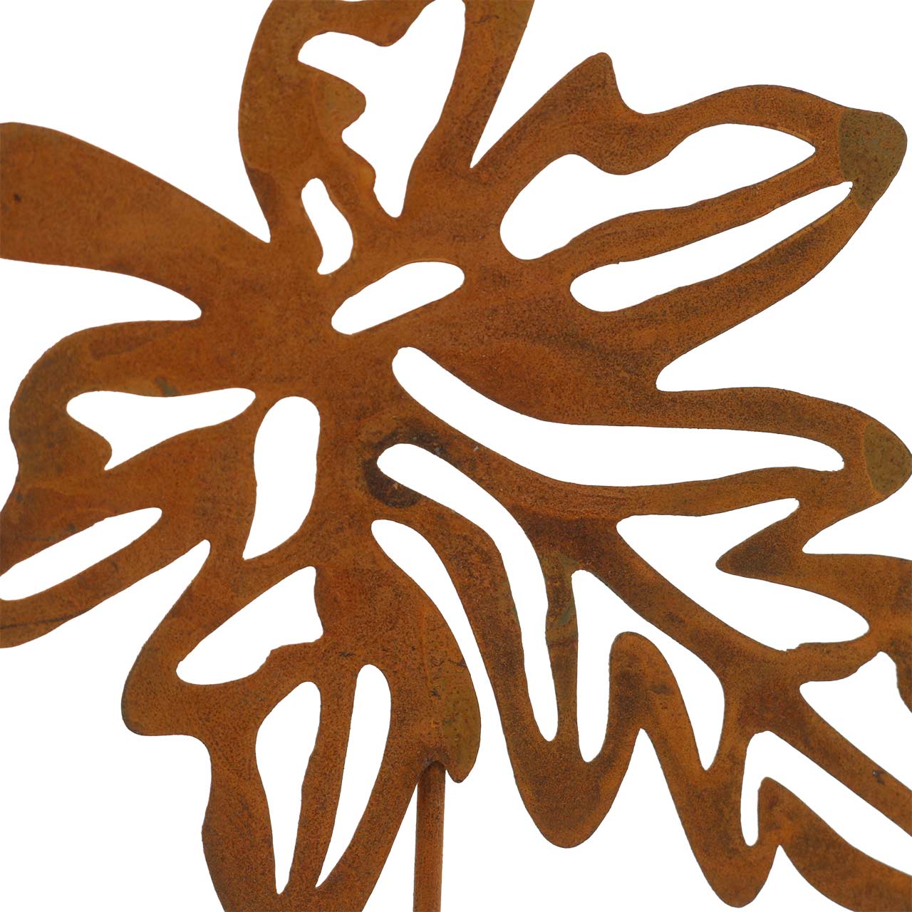 Floristik24.de Dekostecker Herbst-Blätter Edelrost Metall H26cm 6St-69870