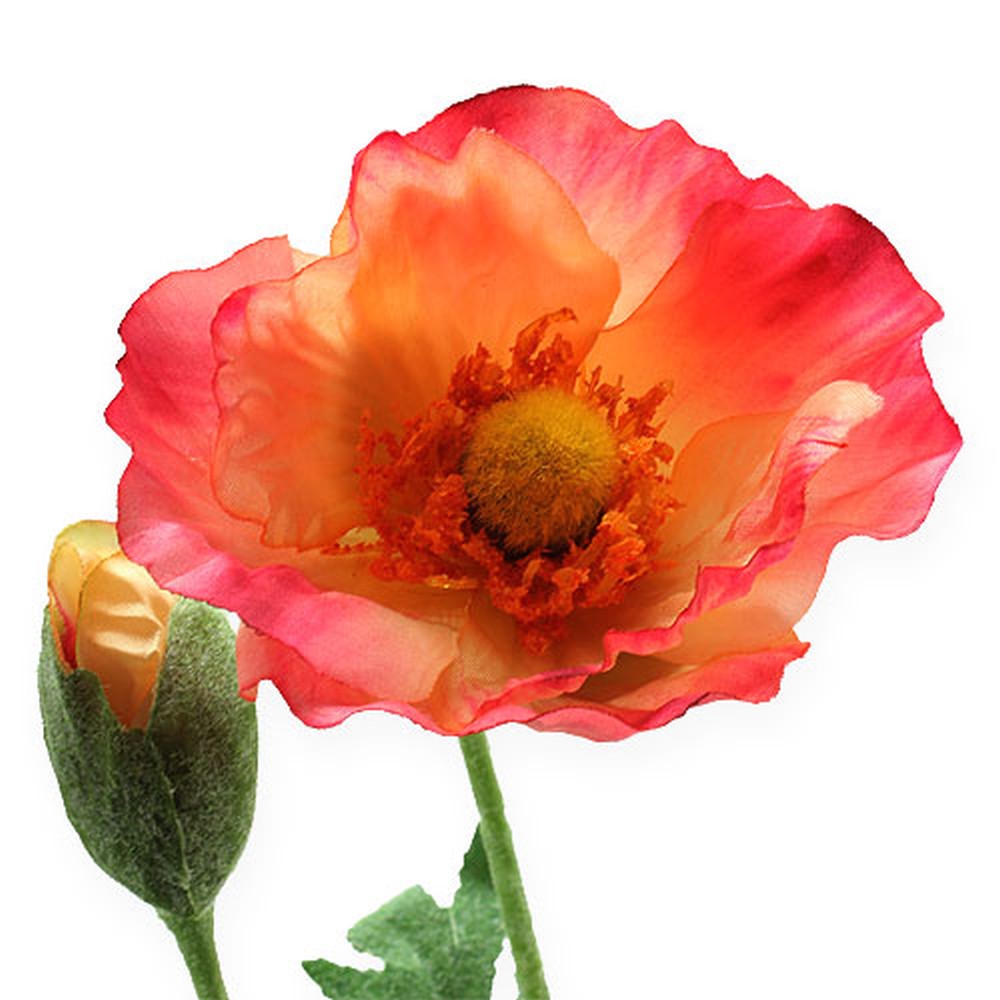 Floristik24.de Künstlicher Mohn Pink, Gelb 74cm-94564