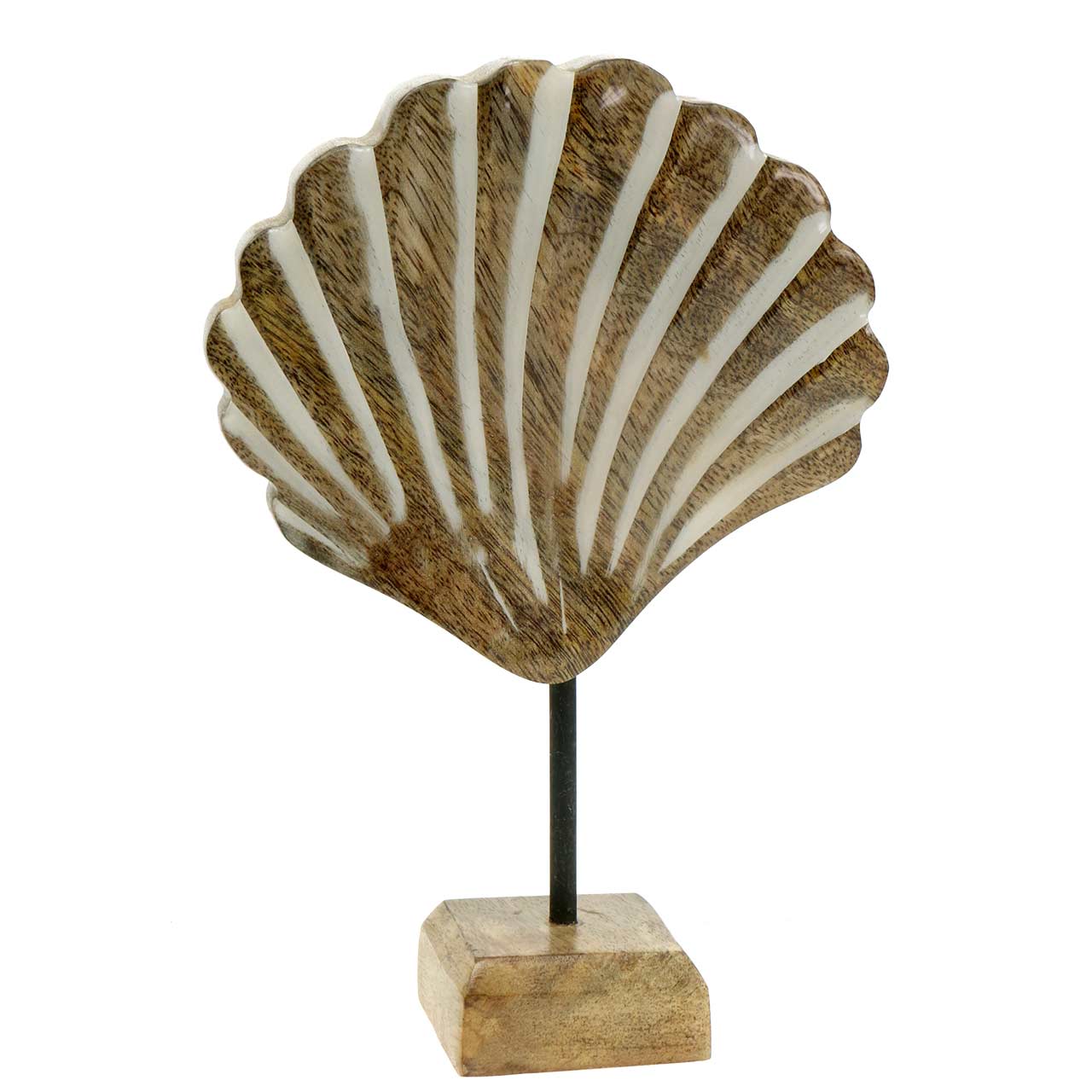 Floristik24.de Muschel mit Sockel Holz Weiß, Natur 20×14cm Maritime ...