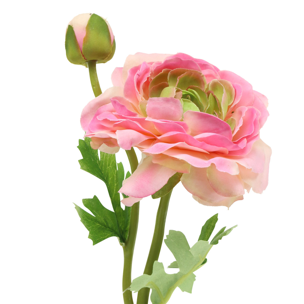 Floristik24.de Ranunkel Blüte und Knospe künstlich Rosa 34cm-66557