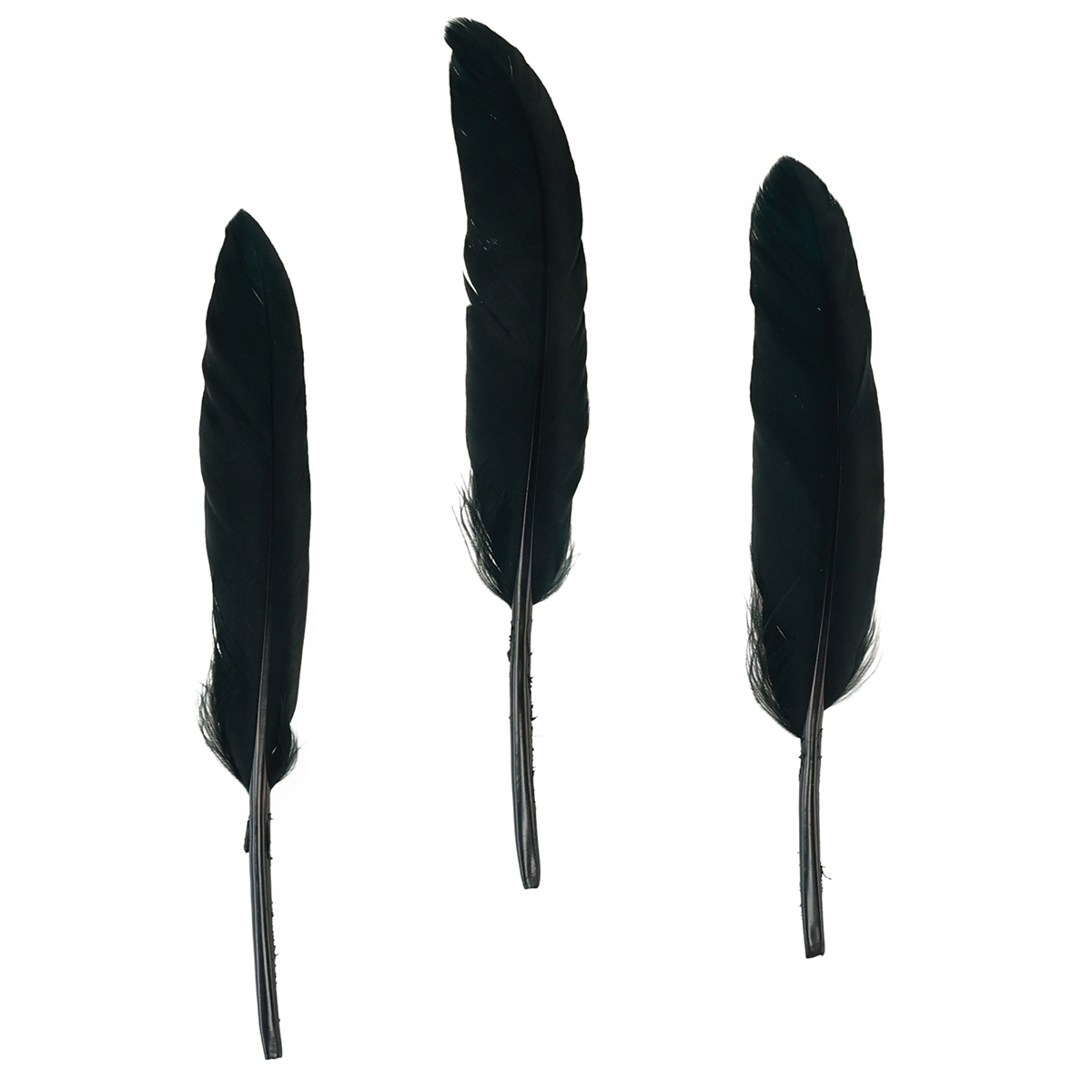 Floristik24.de Schwarze Federn Deko Gänsefedern Schwarz 11-14cm 180St-20424080-1