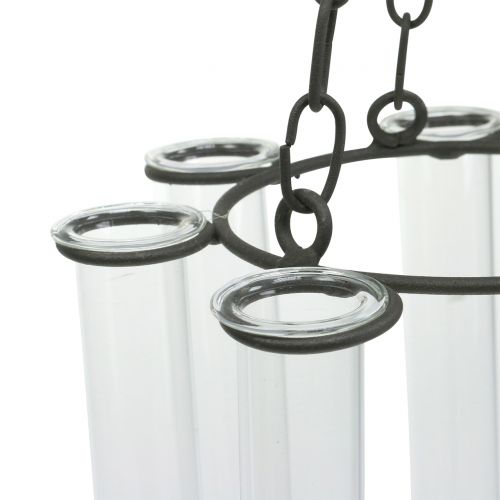 Floristik24.de Hängekranz Reagenzglas Ø18cm