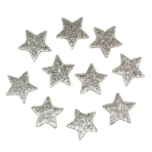 Floristik24.de Glitterstern Champagner 2,5cm 100St