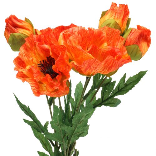 Floristik24.de Mohn Orange 60cm 3St