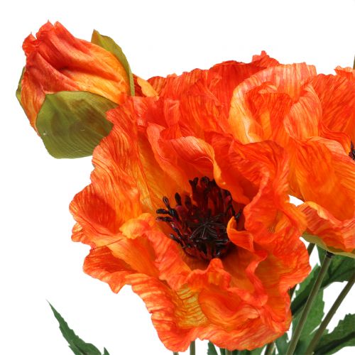 Floristik24.de Mohn Orange 60cm 3St