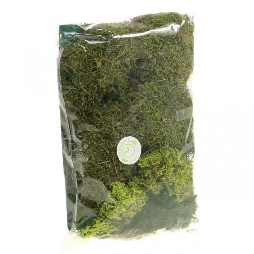 Floristik24.de Deko-Moos zum Basteln Mix Grün, Hellgrün Naturmoos 100g